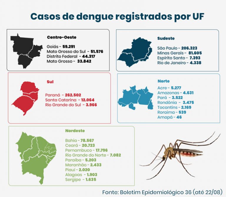 Ministério Da Saúde Notifica 924 238 Casos Prováveis De Dengue Em 2020